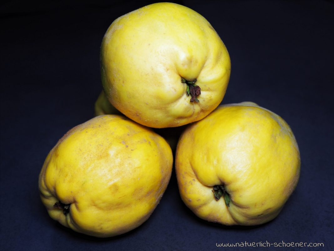 Quittenextrakt - Eigenschaften und Anwendung in der Naturkosmetik